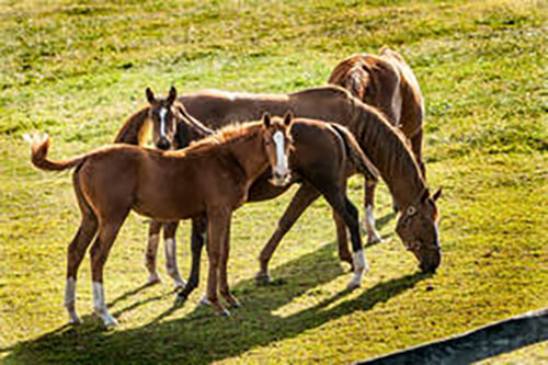 About Hunterdon - Hunterdon County Chamber of Commerce